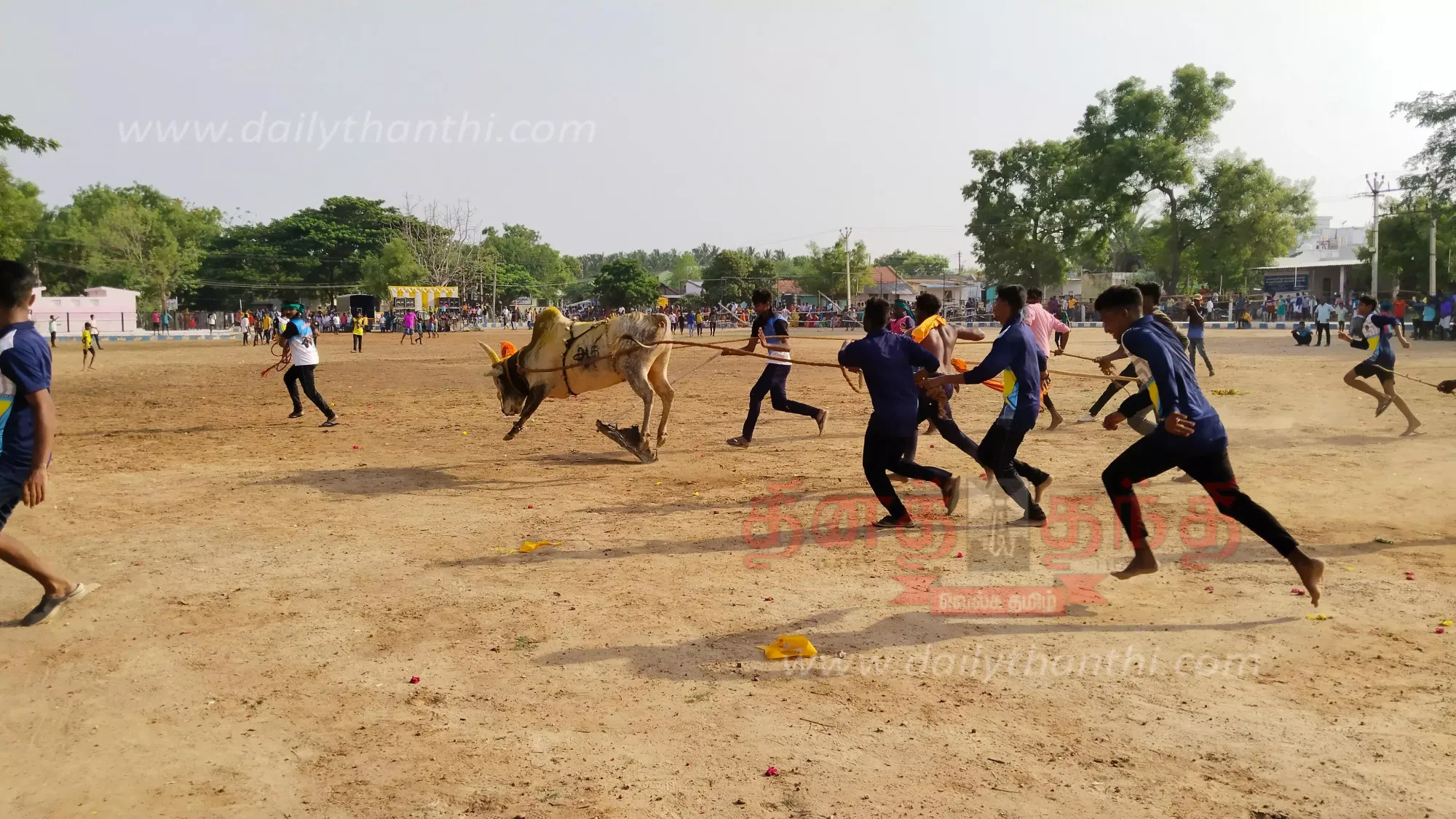 இருசனாம்பட்டி கோவில் திருவிழாவில் 25 மாடுகள் பங்கேற்ற எருதாட்டம்
