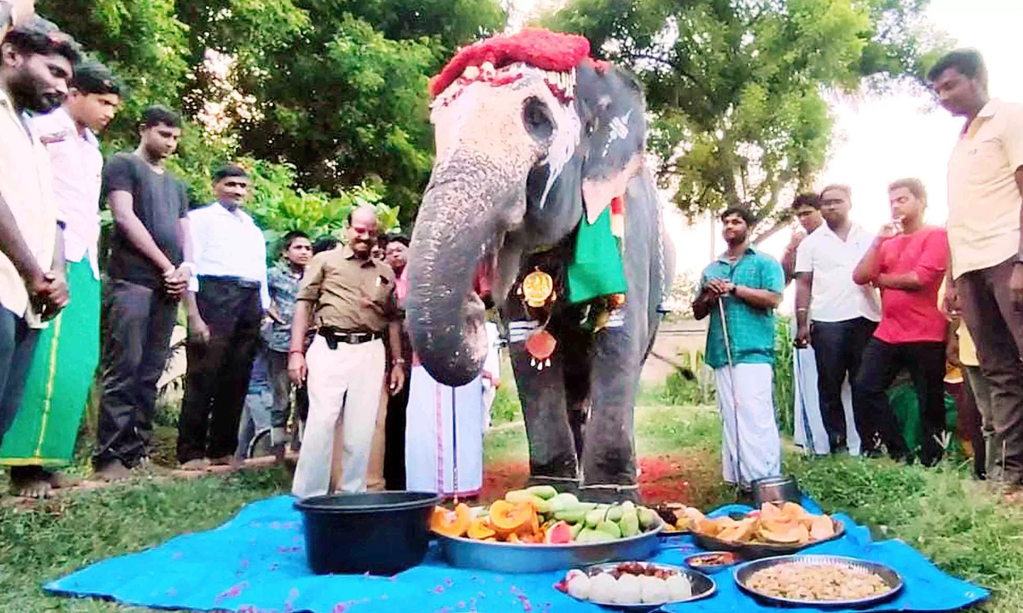 பிறந்த நாள் கொண்டாடிய கோவில் யானை அகிலா