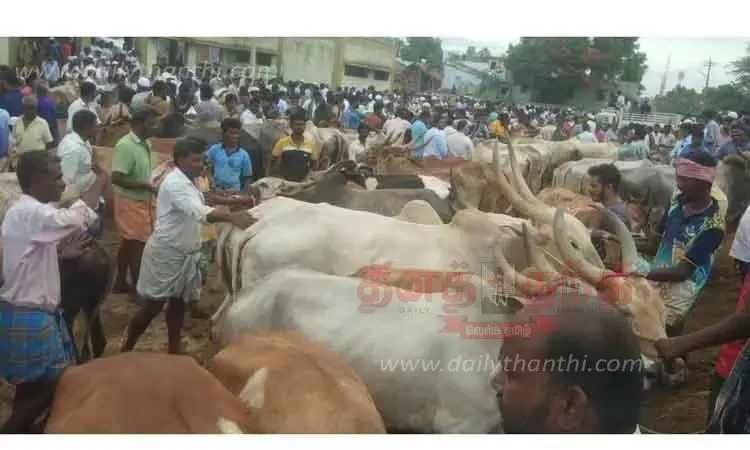 பக்ரீத் பண்டிகையை முன்னிட்டு ரூ.5 கோடிக்கு ஆடு, மாடு விற்பனை