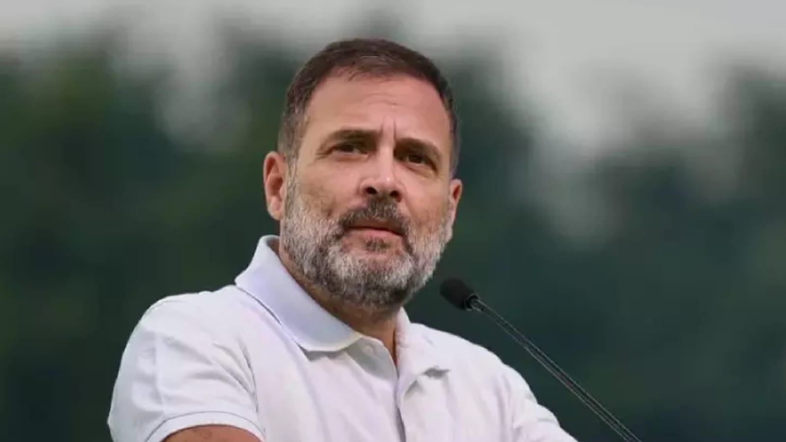 2026 TN elections | Rahul Gandhi ends silence; Tamil Nadu campaign on ...