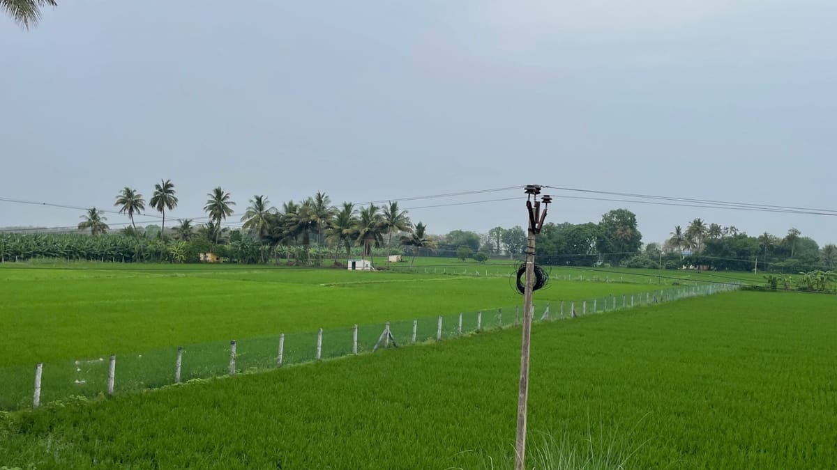 Tamil Nadu: Loan waiver without govt support impacts functioning of PACCS