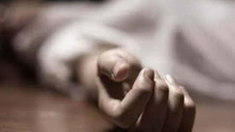 Dharmapuri farmer dies by suicide after rain damages betel leaf farm
