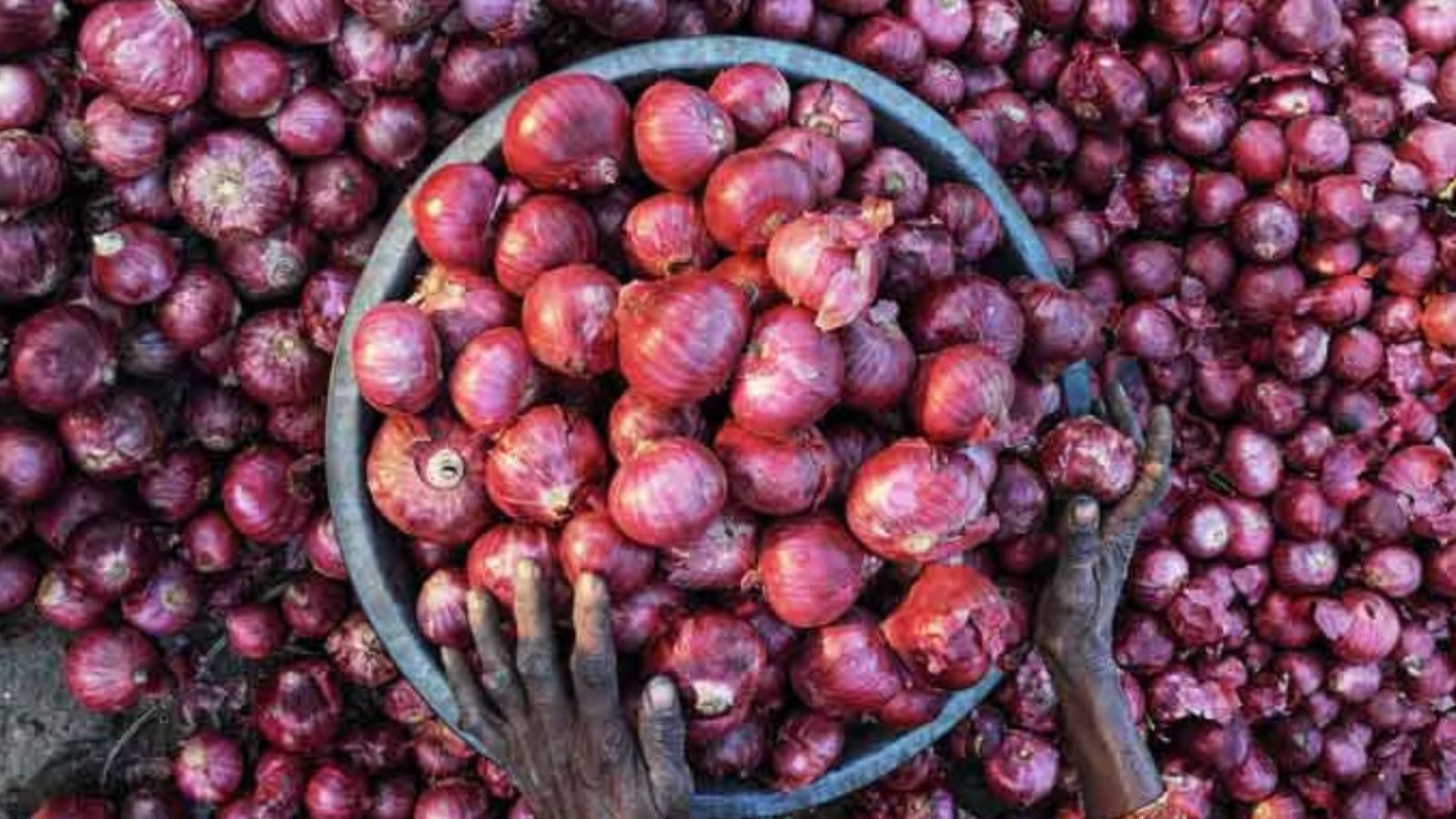 As Centre eases onion procurement norms, farmers seek Rs 3000 per ...