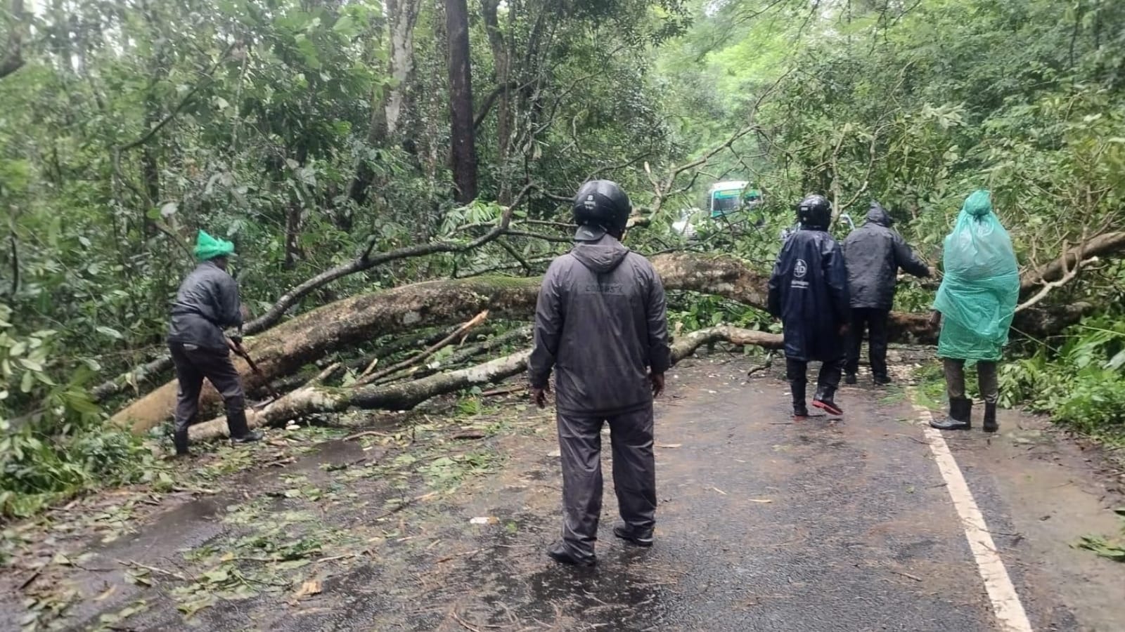 Heavy rains affect normal life in Valparai