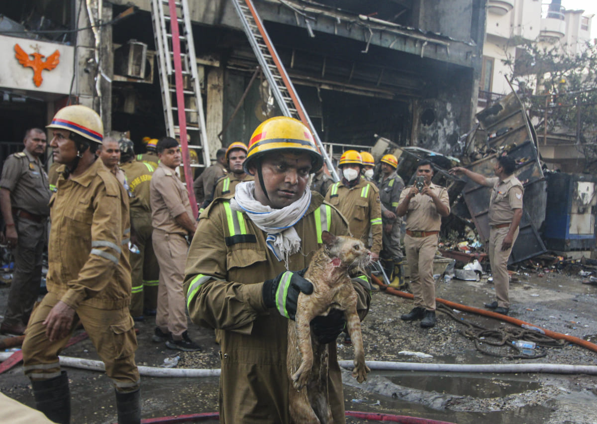 A sole breadwinner, a 3D artist, a young professional, Lucknow fire ...