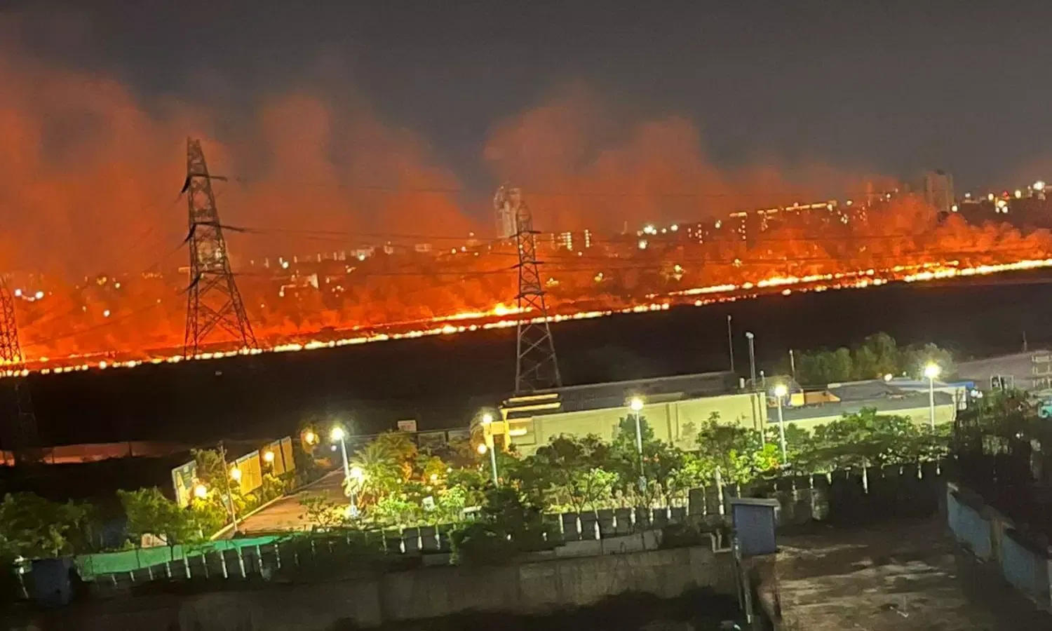 Fire breaks out in Pallikaranai marshland, residents blame summer heat ...