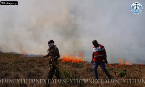 Chennai: Fire in Pallikaranai marshland resumes; blaze began from ...