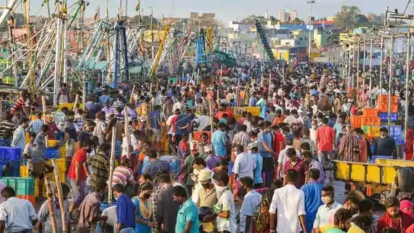 Seafood prices surged at Kasimedu market as annual fishing ban begins