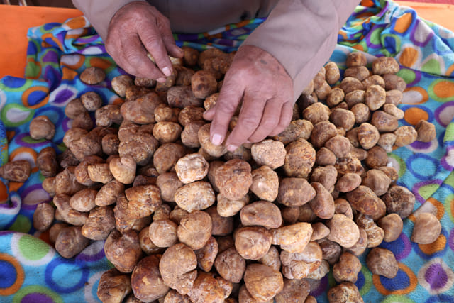 Ramadan 2025: High demand for truffles in Kuwait