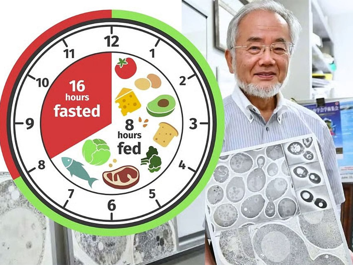 The science behind fasting: Shocking findings from Japanese Nobel winner