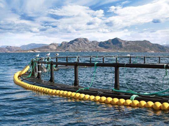 UAE-based Aqua Bridge Group to launch IPO