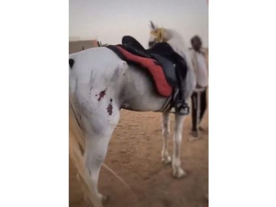 Saudi Arabia: Man arrested after video of horse attack posted online
