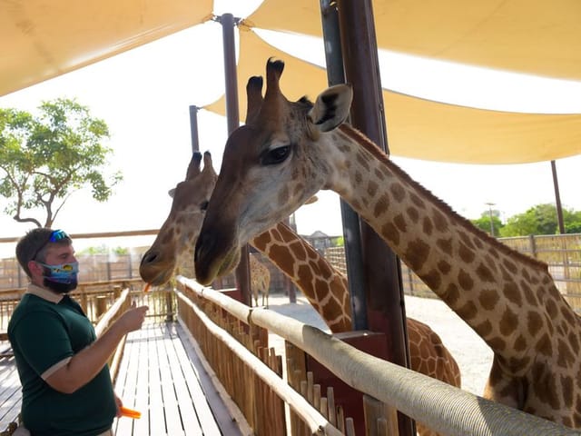 Dubai Safari Park to open this week - ticket prices, location and more
