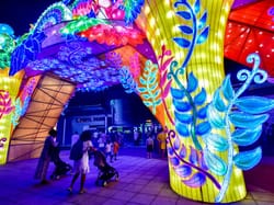Dubai Garden Glow: This popular attraction is set to return with two ...