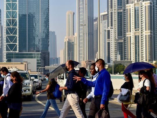 How can you get your labour card number, in the UAE 2023?