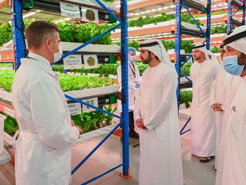 Sheikh Hamdan bin Mohammed tours Bustanica, world’s largest vertical ...