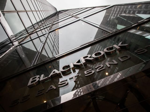 BlackRock to invest up to $400 mln in Dubai decarbonisation firm ...