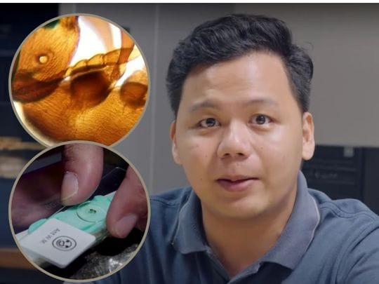 Young Filipino inventor bags award for 'keychain microscope'