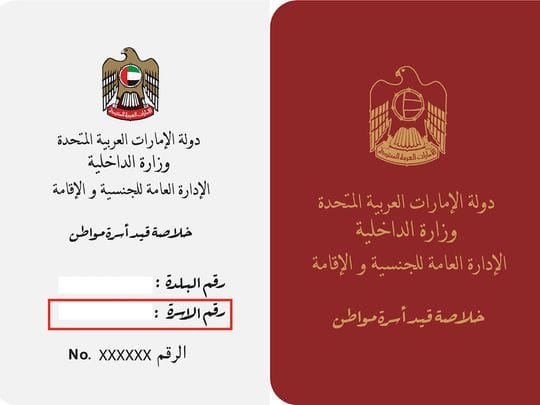 Family Data service to replace Emiratis' Family Book