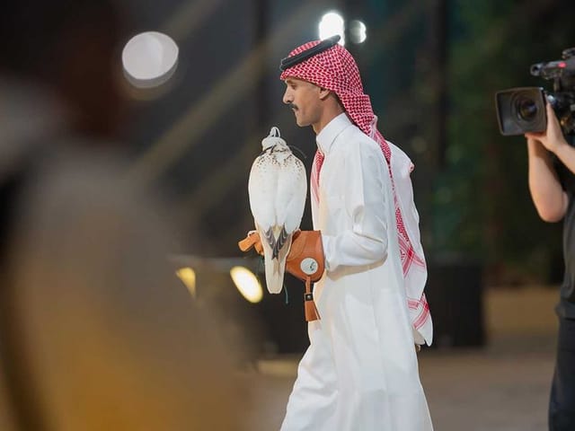 Record-breaking sales at International Falcon Breeders Auction 2024