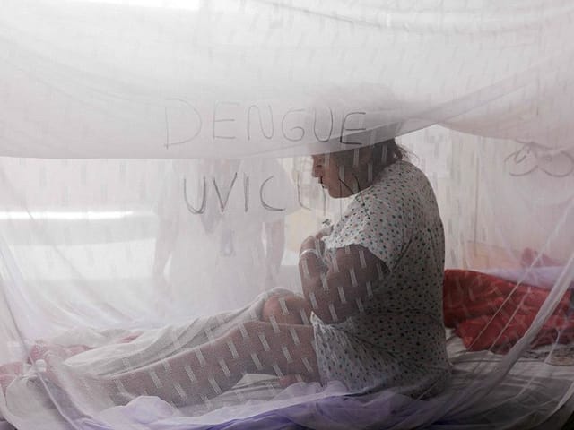'Virus hunters' track threats to head off next pandemic