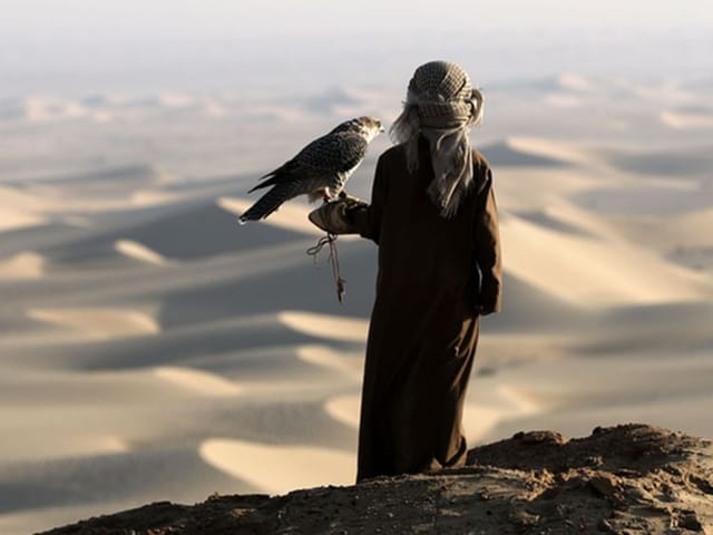 UAE warns violators as traditional hunting season announced